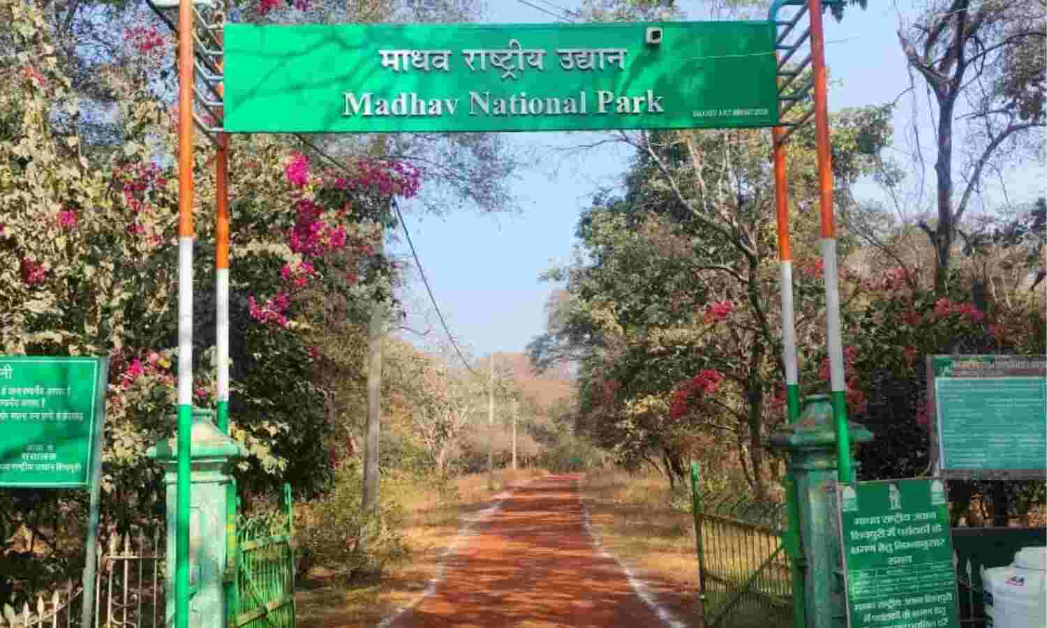 MP News: माधव नेशनल पार्क आठवां टाइगर रिजर्व घोषित, इको टूरिज्म को ...