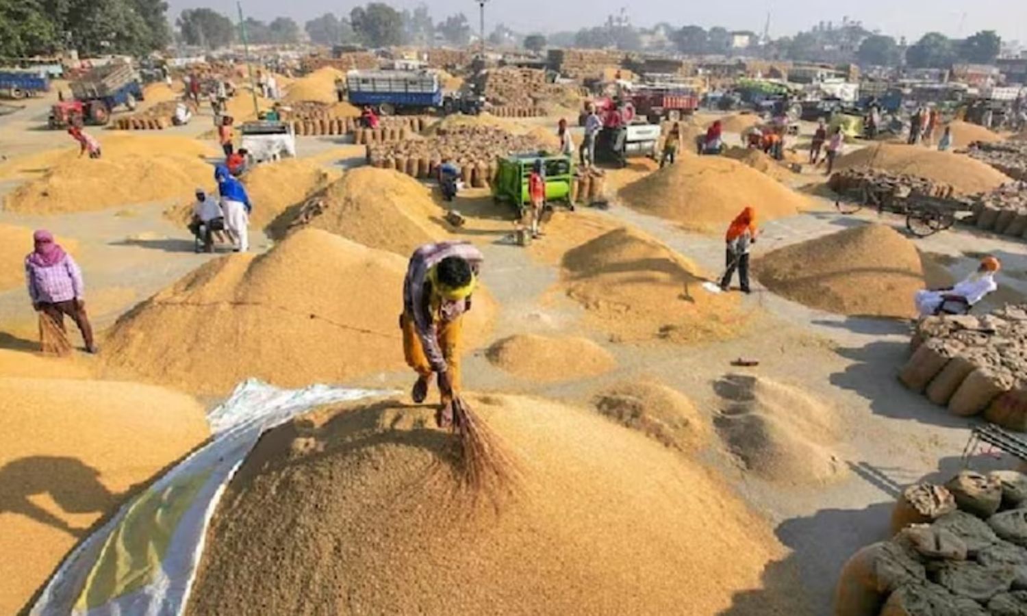 CG Paddy Procurement 2025: छत्तीसगढ़ में धान खरीदी का आखिरी दिन आज, 146 लाख मीट्रिक से ज्यादा ...