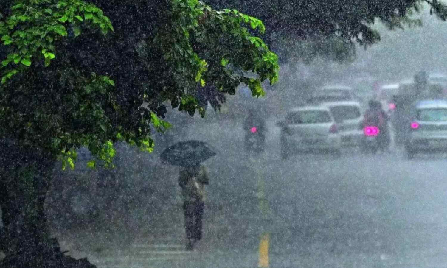 MP Weather Today: भोपाल में सुबह से तेज बारिश, तीस से अधिक जिलों में अलर्ट | MP Weather Today ...